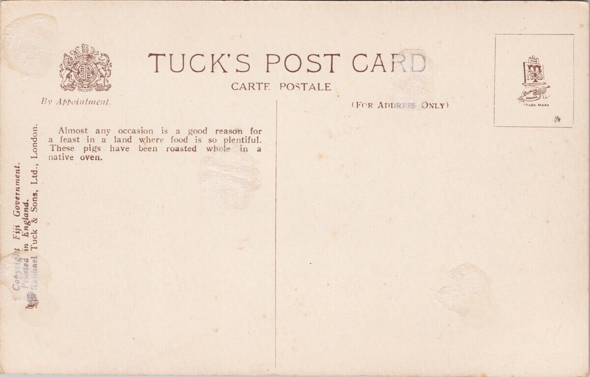 Fiji The Feast Prepared Pigs Roasted Fijian Tuck Postcard H53a ...