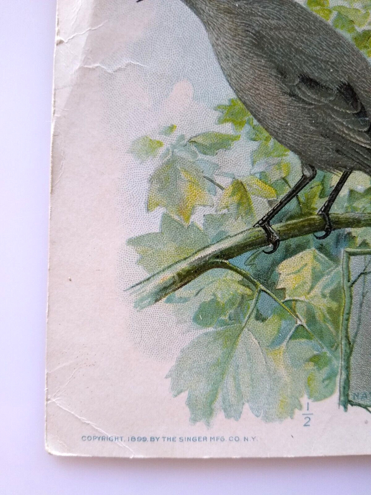 American Singer Sewing Machine Series Victorian Trade Card Cat-Bird Egg ...