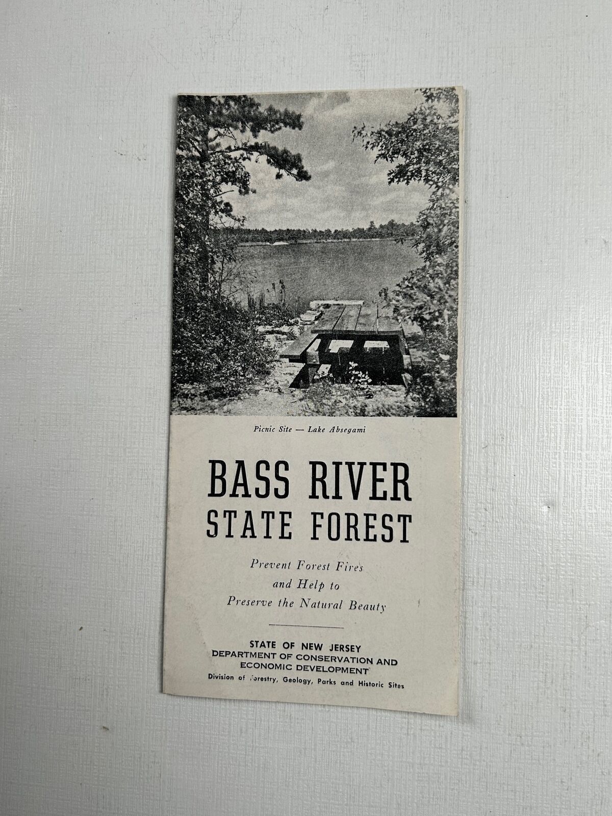 Bass River State Forest New Jersey Vintage Travel Brochure | Ephemera ...