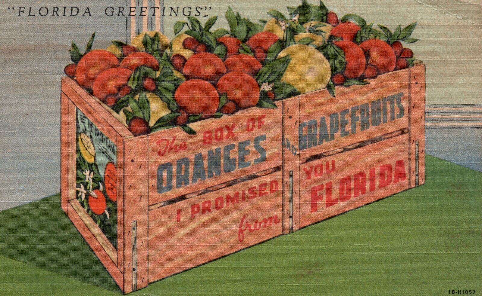 Vintage Postcard 1956 Florida Greetings Box of Oranges Grapefruits in ...