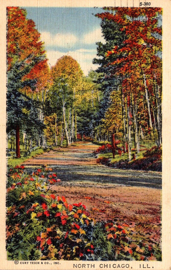 Illinois Chicago Country Road Scene In North Chicago 1945 Curteich ...