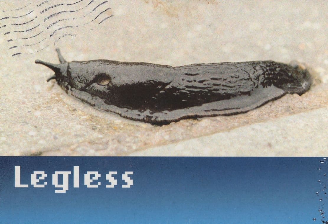 Legless Slug Alcohol Comic Telephone Advertising Postcard | Topics ...