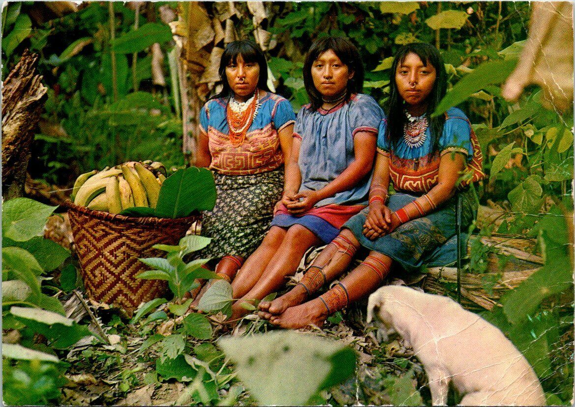 Vintage Continental Size Postcard Group of Choco Indian Women in ...