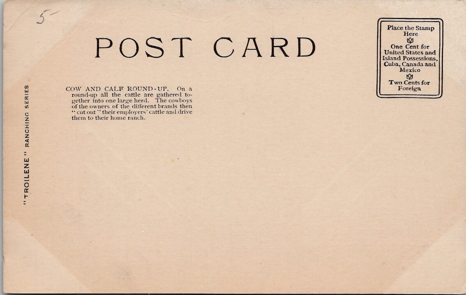 Artist John Innes Western Art Cow and Calf Roundup Troilene Series ...