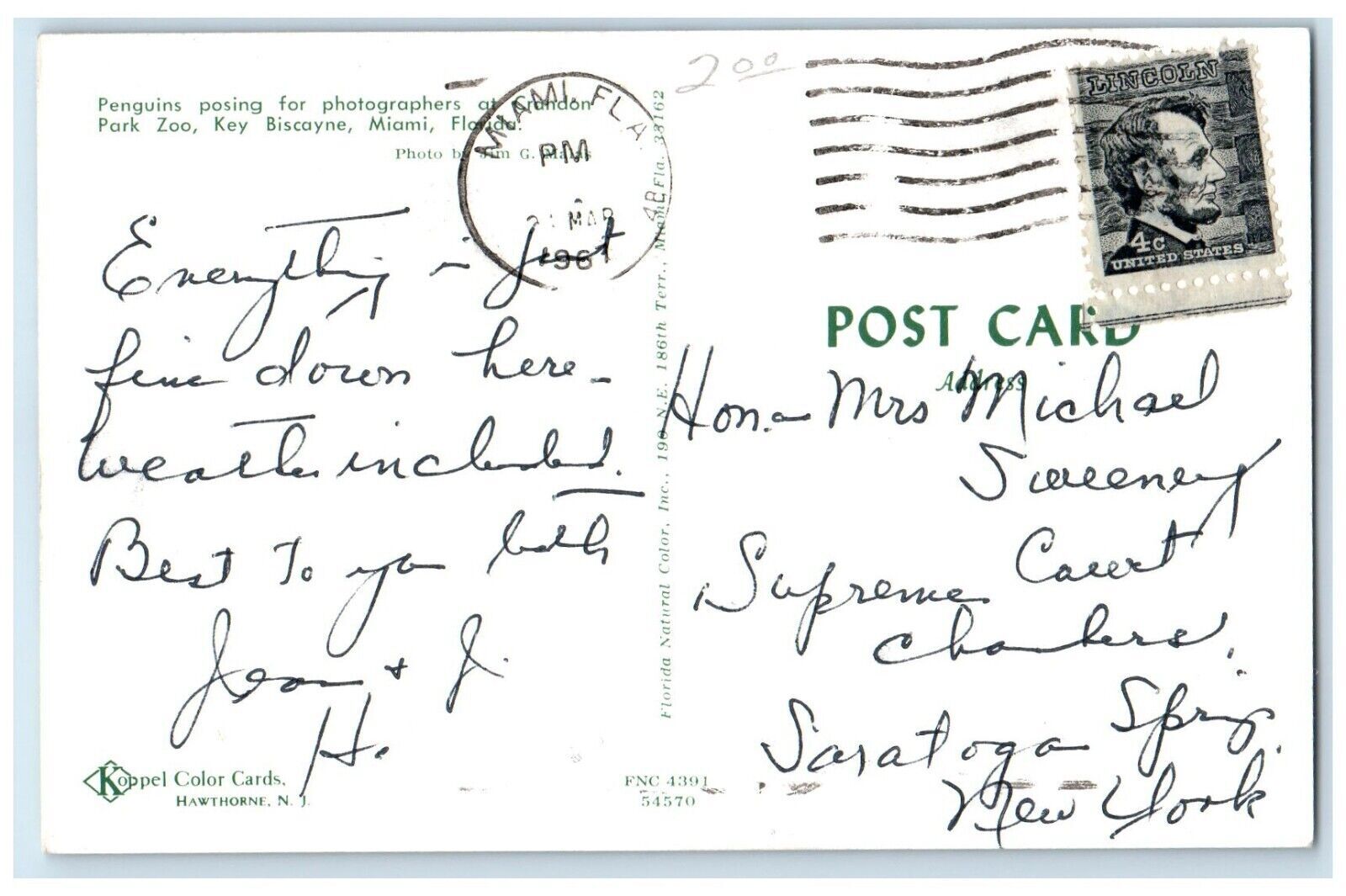 1967 Penguins Crandon Park Zoo Key Biscayne Miami Florida Koppel Color ...