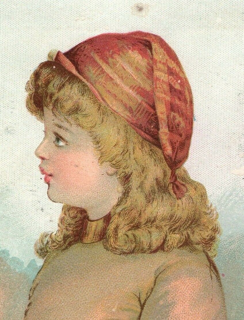 1880's Cute Girl Lee, Davidson & Dye Dry Goods Victorian Trade Card ...
