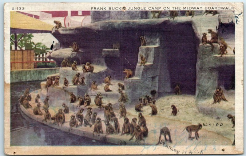 Frank Buck Jungle Camp on The Midway Boardwalk, World's Fair - New York ...