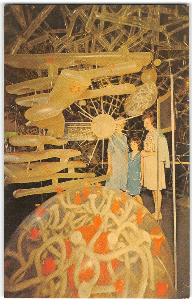 THE HUMAN CELL Chicago, IL Museum of Science & Industry 1964 Vintage ...