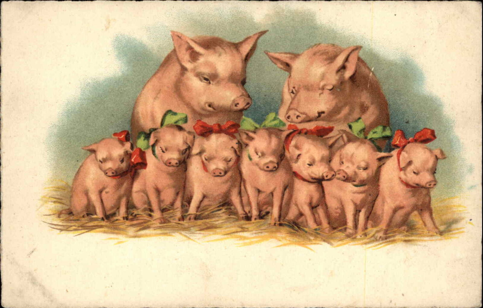 Mom and Dad Pigs with Piglets Piggies Wearing Ribbons c1910 Postcard ...