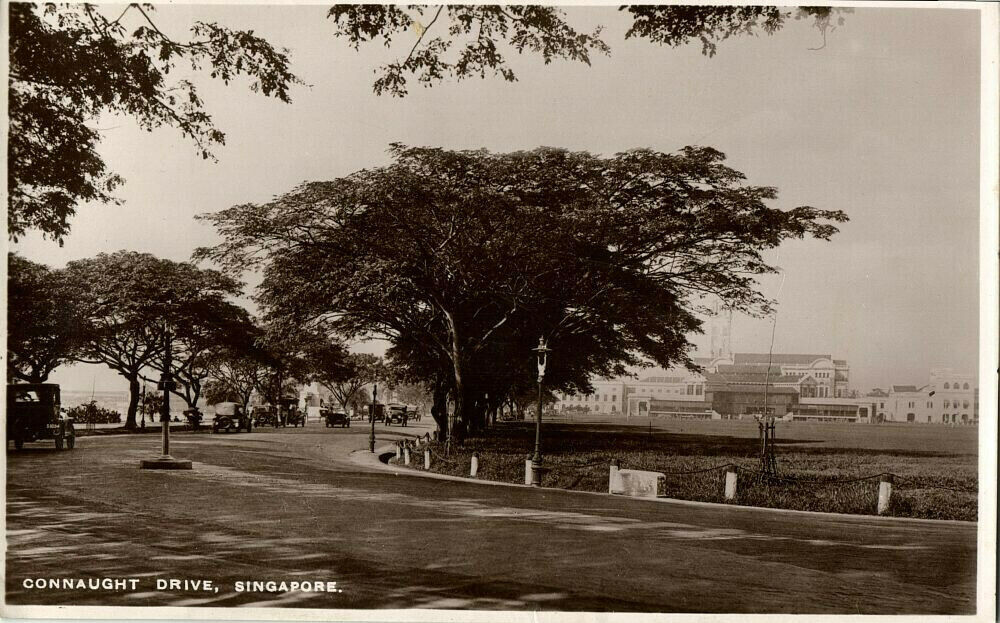 singapore, SINGAPORE, Connaught Drive (1920s) RPPC Postcard | Asia ...