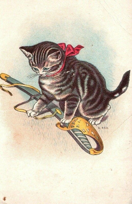 1880s-90s Kitten Playing with Sword Ribbon Trade Card | Ephemera ...