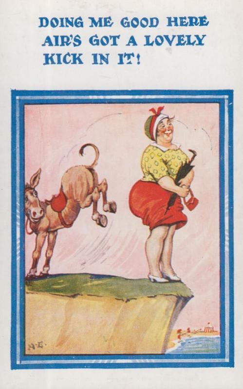 Donkey Kick Kicking Fat Lady Off Cliff Seaside Comic Humour Postcard ...