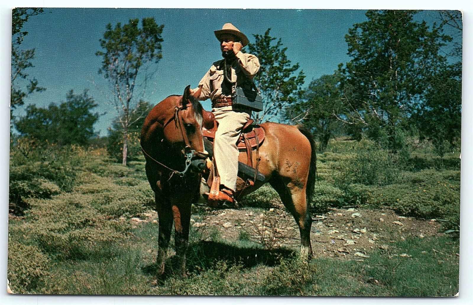 Postcard TX Texas Ranger on Horse Bag Phone Pub Texas Department of ...