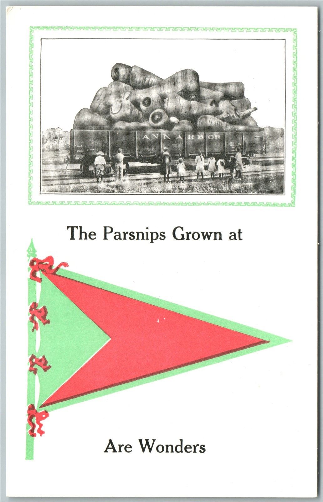 Exaggerated Antique Postcard Parsnips Grown ARE Wonders | Other ...