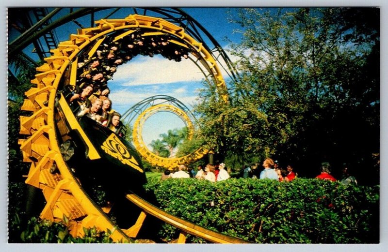Python Rollercoaster, Busch Gardens, Tampa Florida FL, Vintage Chrome ...