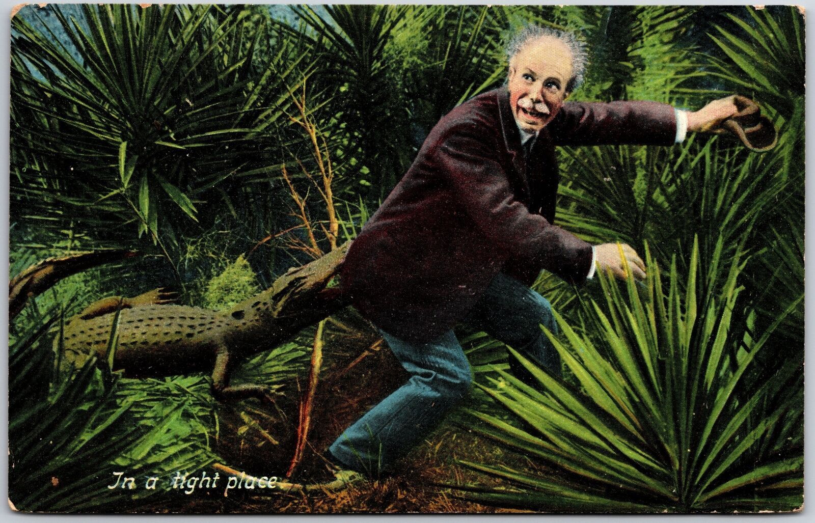 1908 Od Man Bitten by a Crocodile On Legs "In A Tight Place" Posted ...