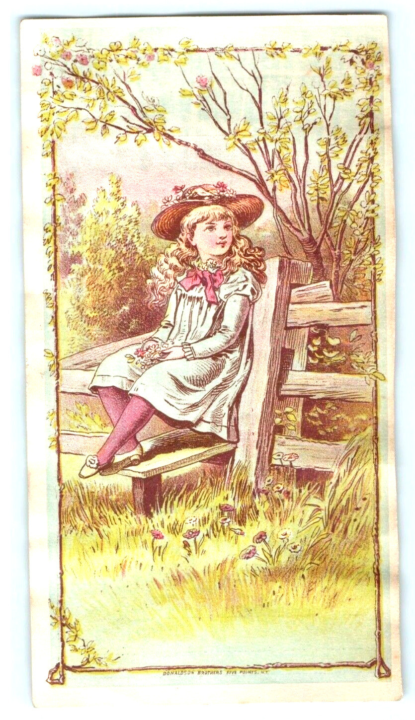 1880s J.B. Morris Watkins, NY Broadhead&Sons Mills Grocery East Folder ...