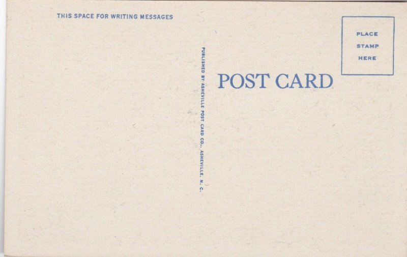 Georgia Gainesville Pacolet Manufacturing Company Mill #6 sk2800 ...