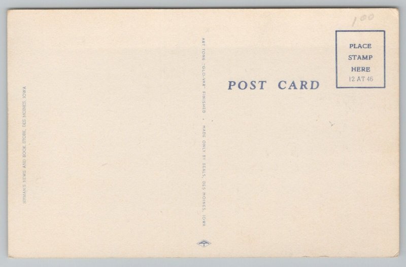 Des Moines Iowa~Birdland Swimming Pool~American Flag~Vintage Postcard ...