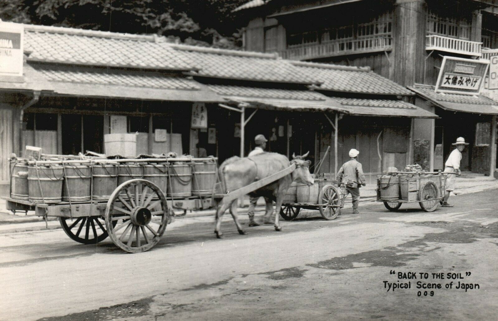 Vintage Postcard Back to the Soil Typical Scene of Japan Ox Pulling ...