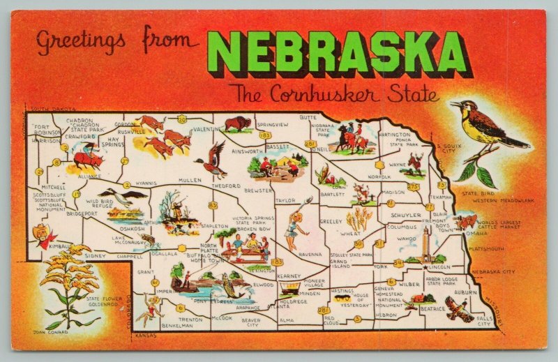 Nebraska~State Map~The Cornhusker State~Bird Western Meadowlark~Vintage ...