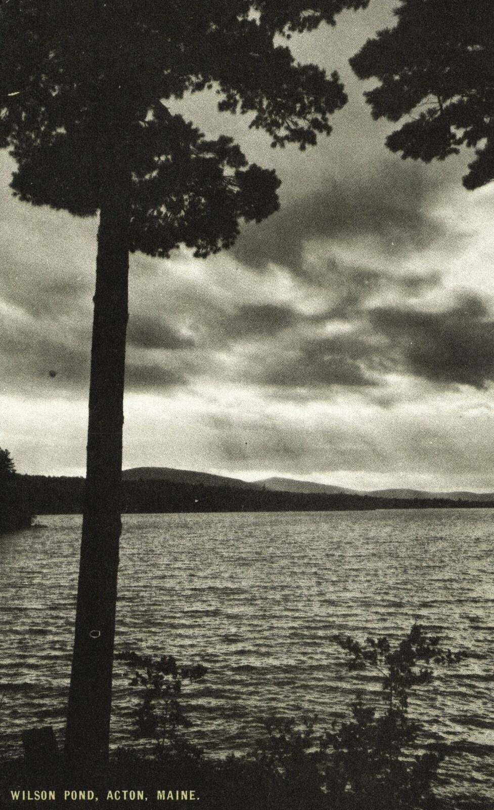 Vintage Postcard 1910's View of Wilson Pond Acton Maine ME | United ...