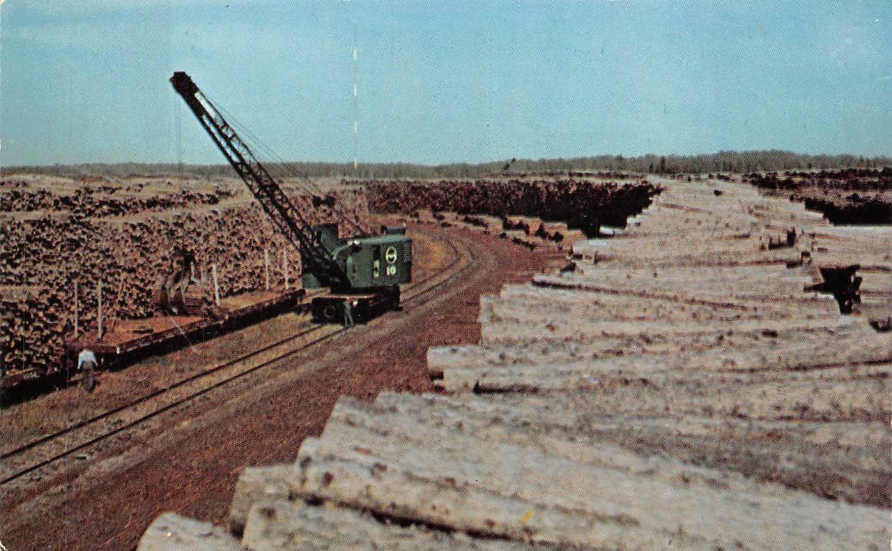 Pulp Wood Stack Grand Rapids Minnesota Logging Postcard (1960S ...