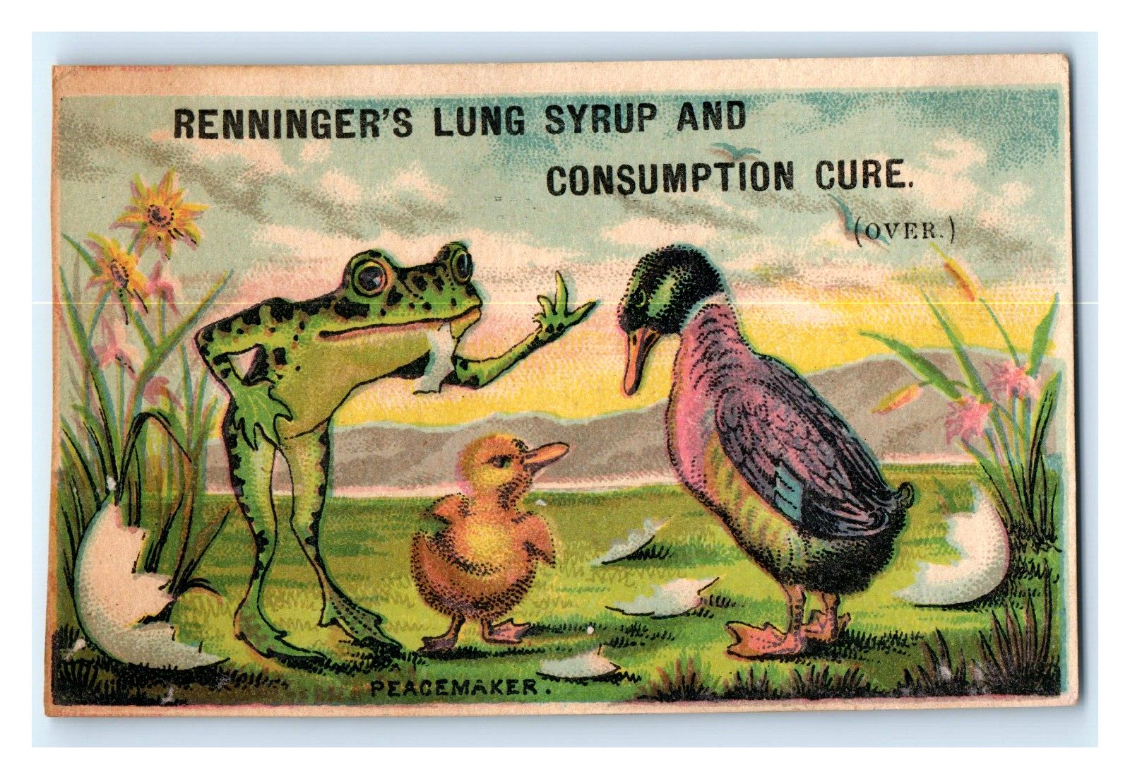 1880s Renninger's Lung Syrup Anthropomorphic Frog Ducks Quack Medicine ...