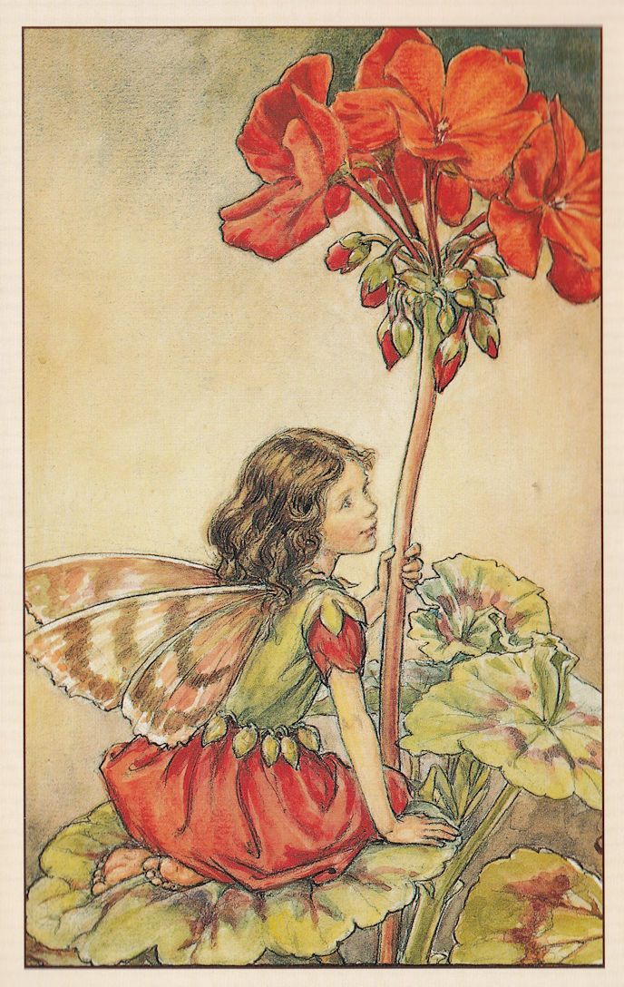 The Geranium Fairy Fairies from Vintage WW2 Book Postcard | Topics ...
