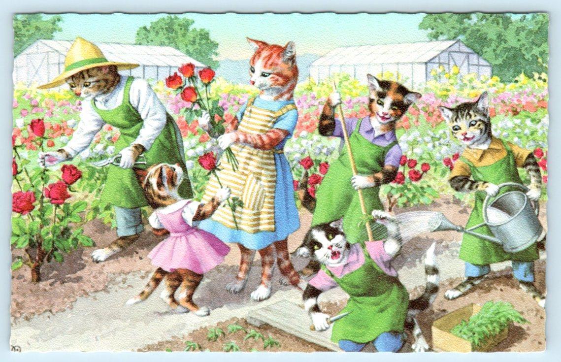 Mainzer DRESSED CATS Anthropomorphic ROSE GARDEN Kittens #4927 Belgium ...
