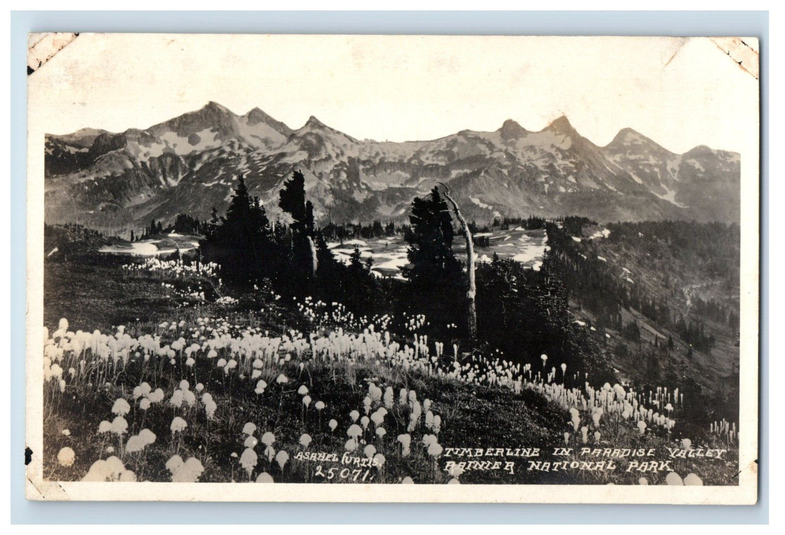 Vintage Paradise Valley Mt Rainier Asahel Curtis Real Photo RPPC ...