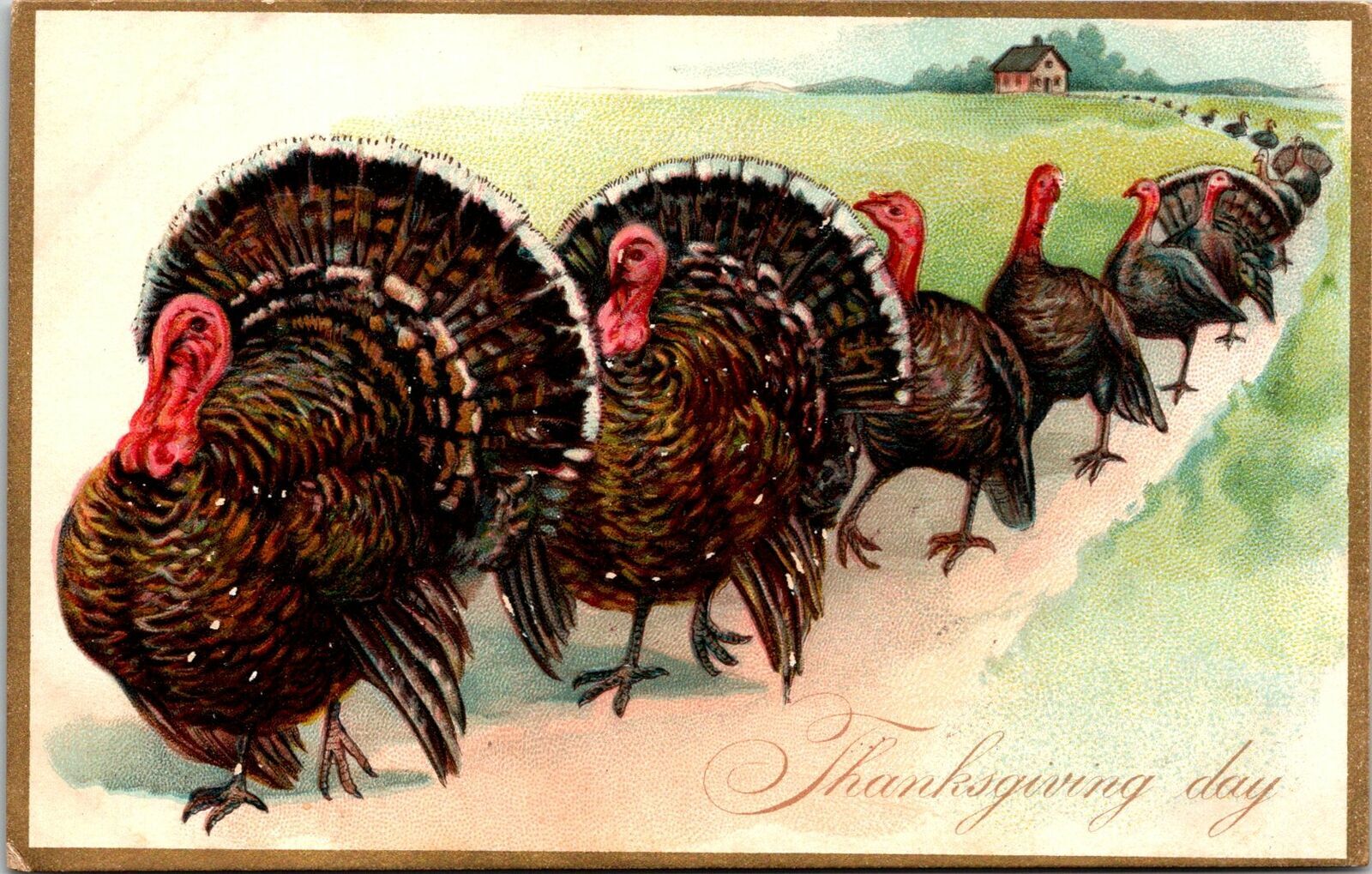 Vintage Postcard Long Line of Turkeys on Thanksgiving DAY Greeting Tuck ...