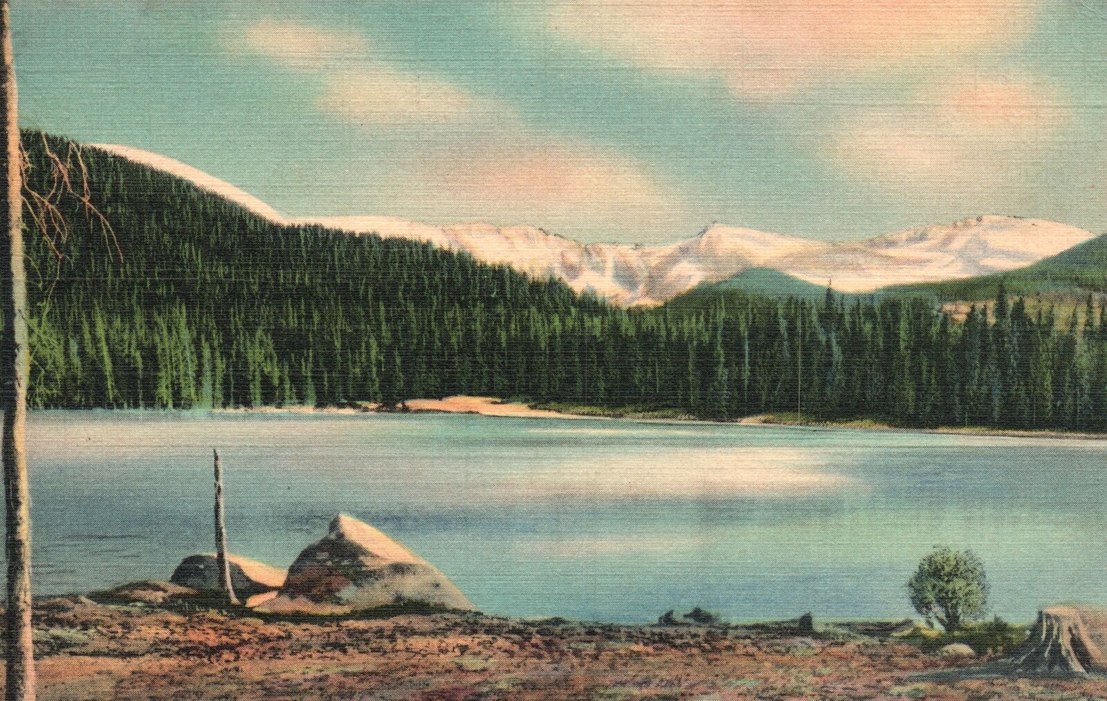 Vintage Postcard Mount Evans & Range From Echo Lake Colorado Tall Pine ...