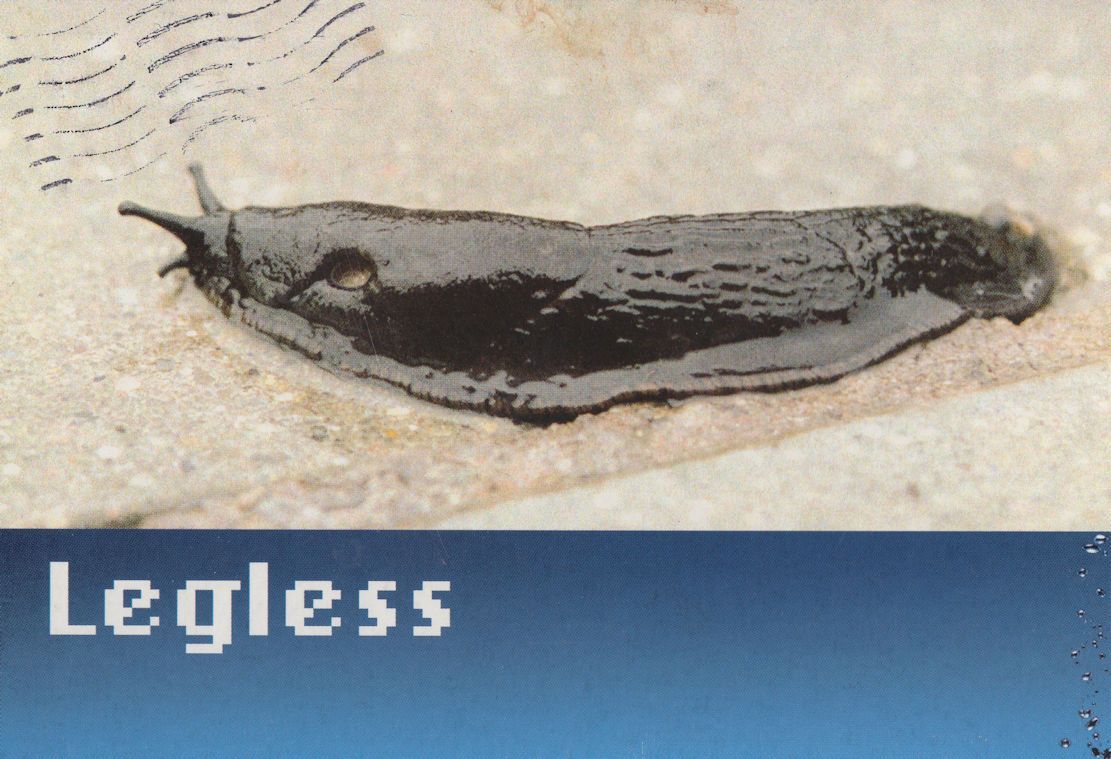 Legless Slug Alcohol Comic Telephone Advertising Postcard | Topics ...