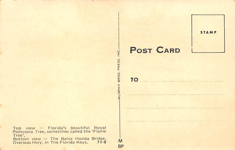 Greetings from the Florida Keys Bridge Key West FL | United States ...