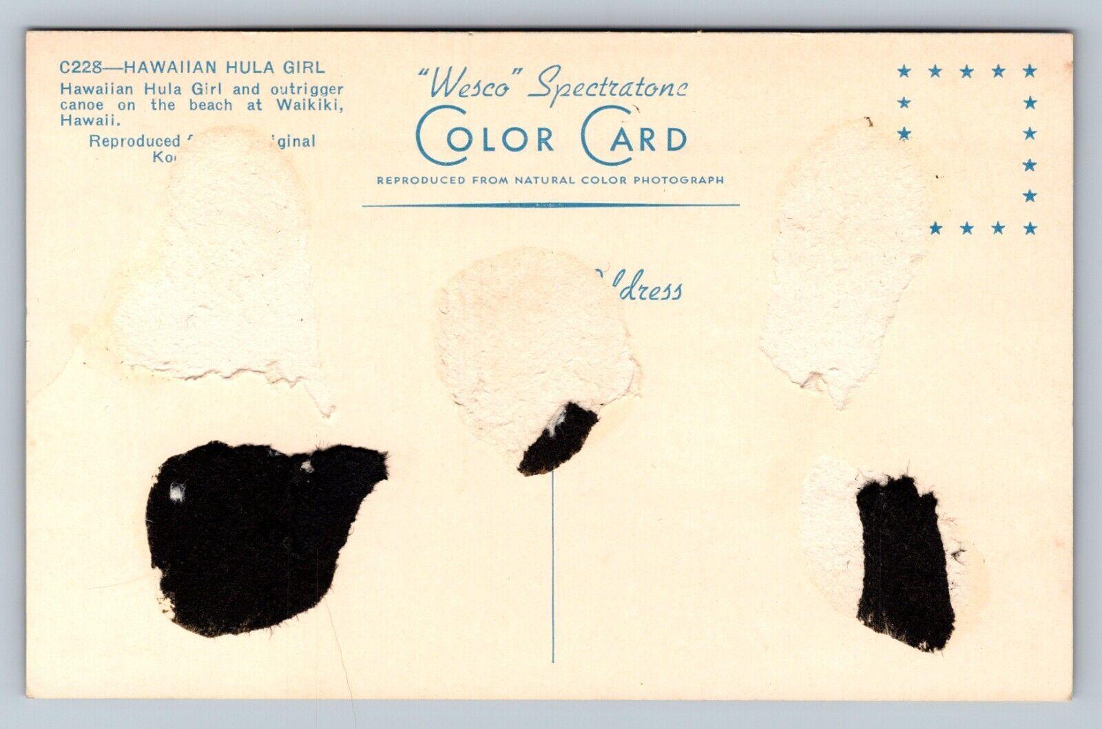 Hawaiian Hula Girl In Hawaii Vintage Postcard Wesco Spectratone Color ...