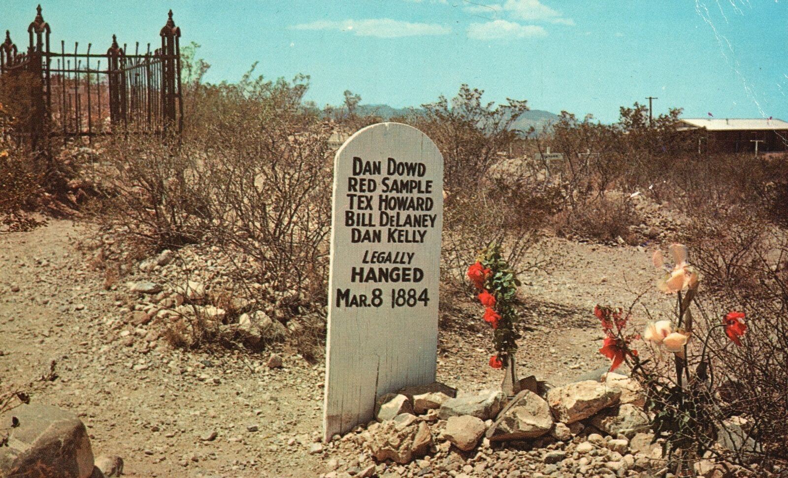 Vintage Postcard Graves Of Dowd Samples Howard Delaney & Kelly ...