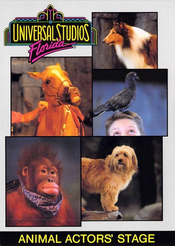 Universal Studios FL 1995 Animal Actors Lassie Mr ED MINT Unused ...