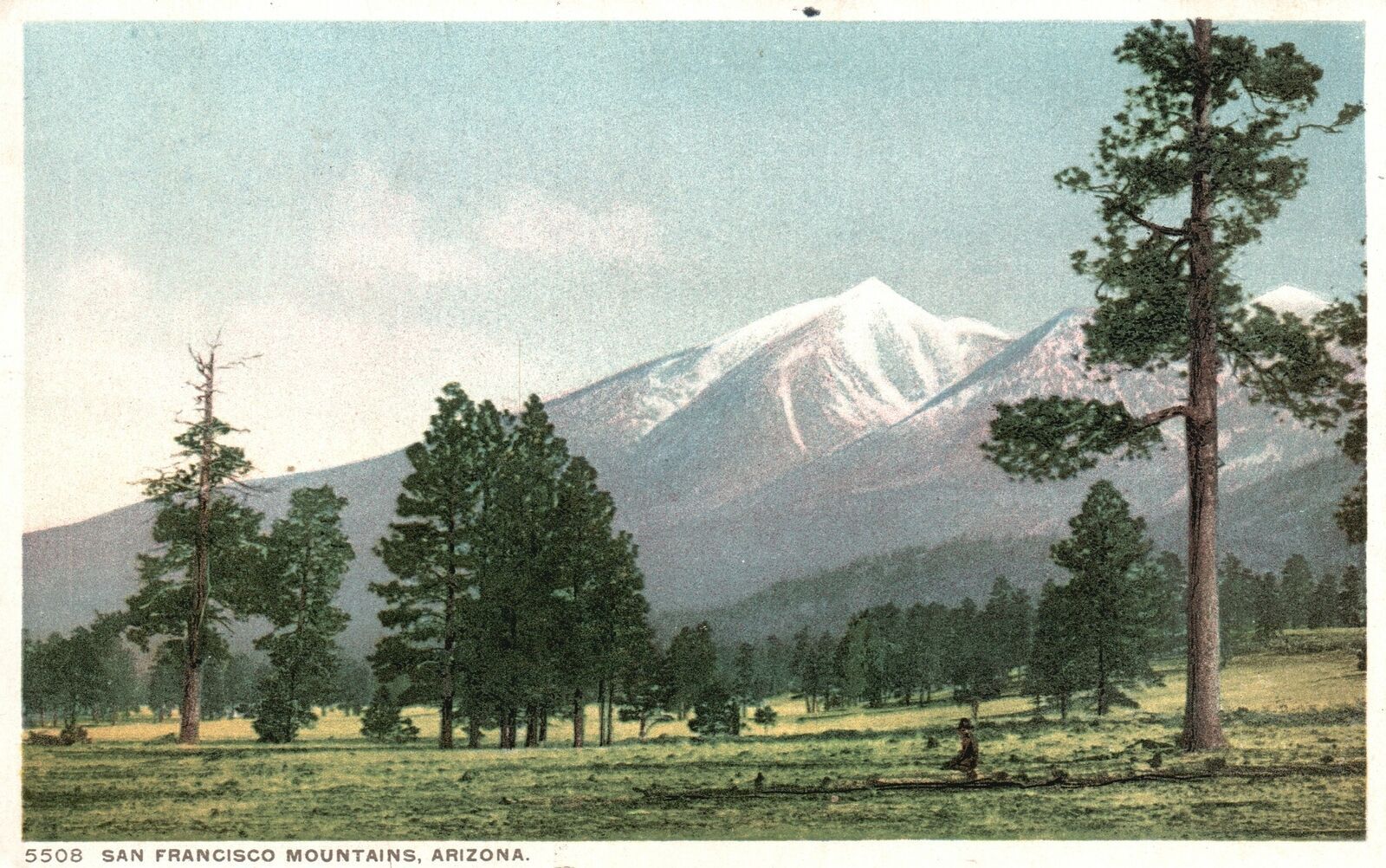 Vintage Postcard Mountains Stratovolcano Farm Trees San Francisco ...