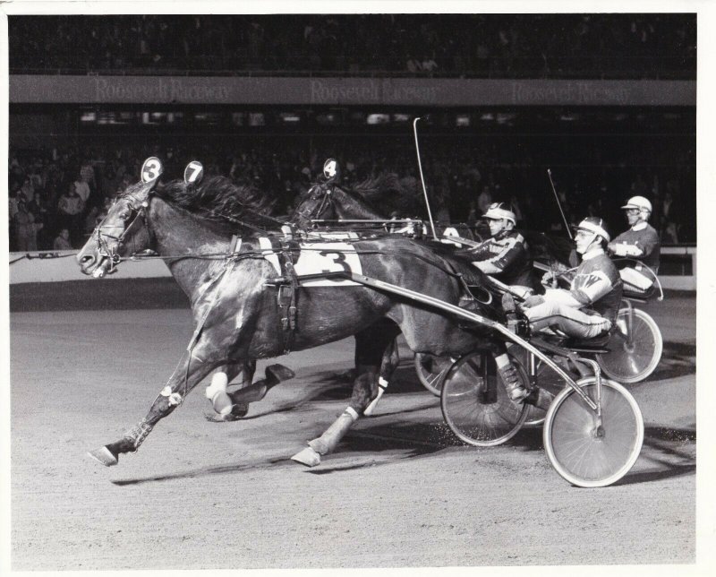 ROOSEVELT RACEWAY, Harness Horse Race, "CASEY'S DREAM" winner, 1980 ...