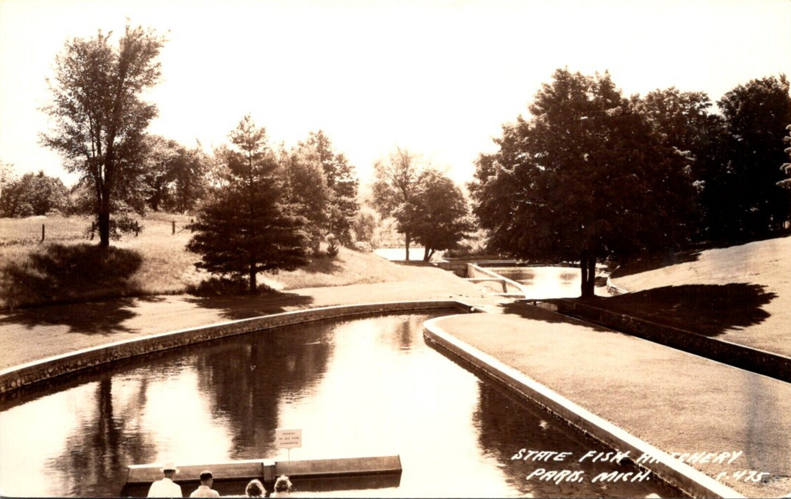 Michigan Paris State Fish Hatchery Real Photo | United States ...