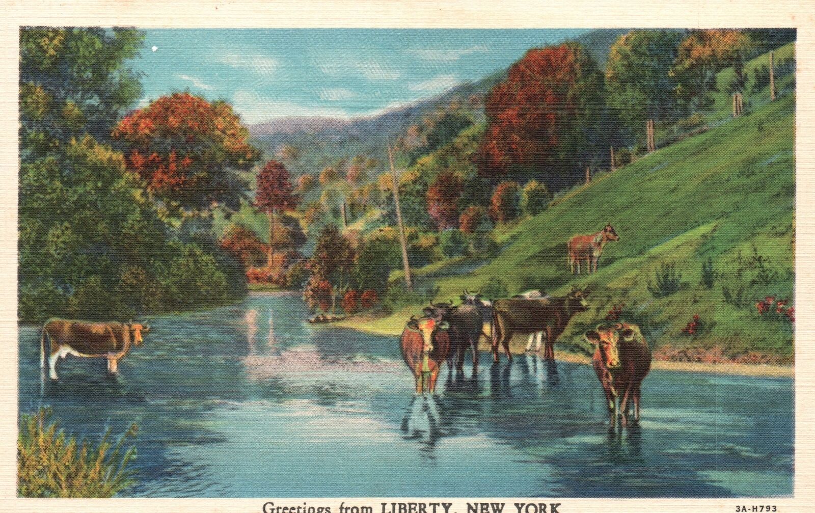 Vintage Postcard 1930's Greetings From Liberty Cows in the River New ...