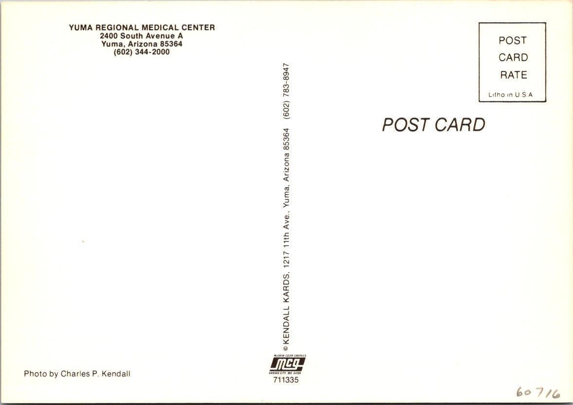 Yuma, AZ Arizona YUMA REGIONAL MEDICAL CENTER Hospital 4X6 Postcard ...