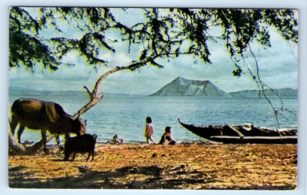 Taal Volcano in Lake Taal Bombon BATANGAS PHILIPPINES Postcard | Asia ...
