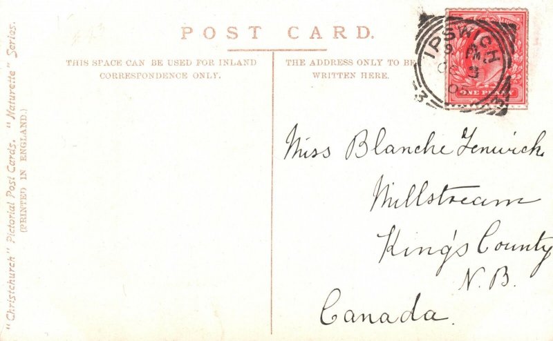 Vintage Postcard Orwell Park Estate In The Village of Nacton Suffolk ...