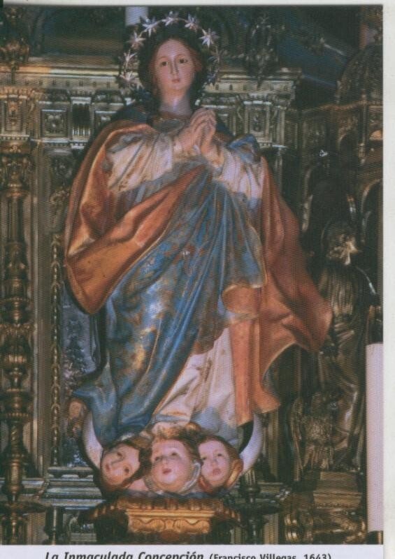 Postal 009905: Virgen La Inmaculada Concepcion, catedral de Cadiz ...