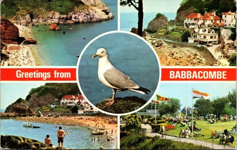 Greetings Babbacombe Scenes Bird Cliff Top Gardens Beaches Crowds PPL ...