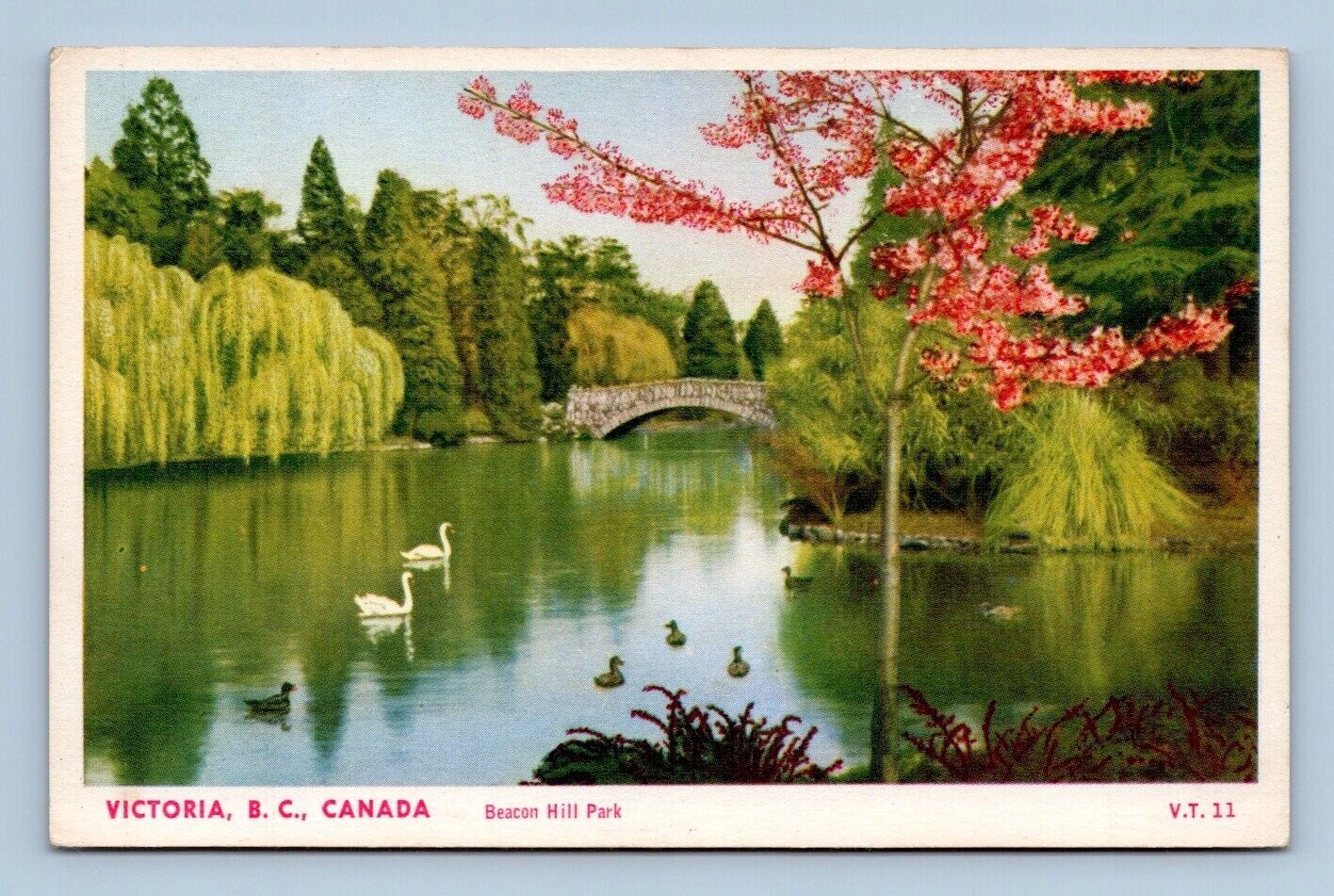 Pond and Bridge Beacon Hill Park Victoria BC Canada UNP WB Postcard B14 ...