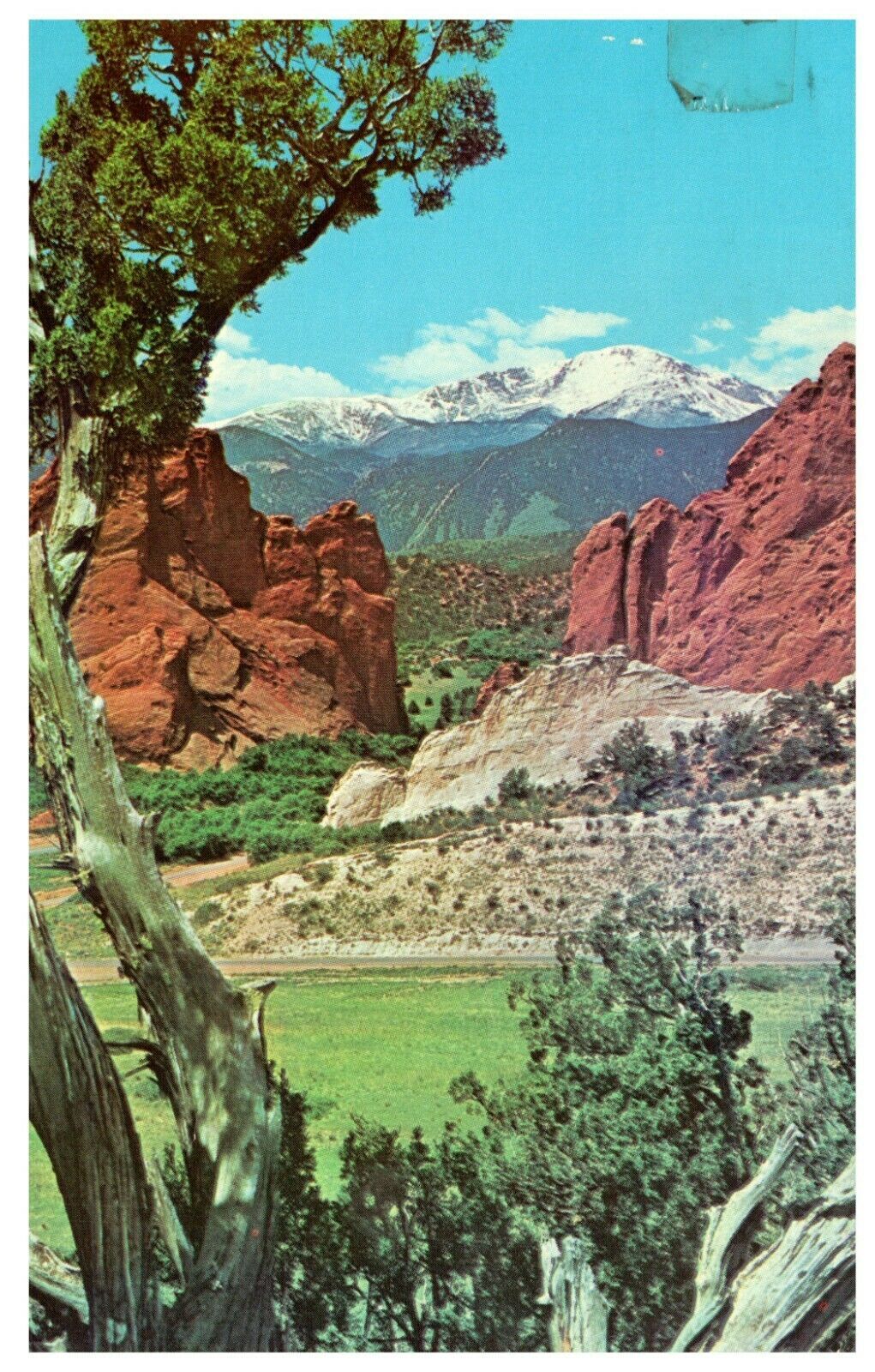 Pikes Peak & Gateway to the Garden of Goads with Old Cedar Tree ...
