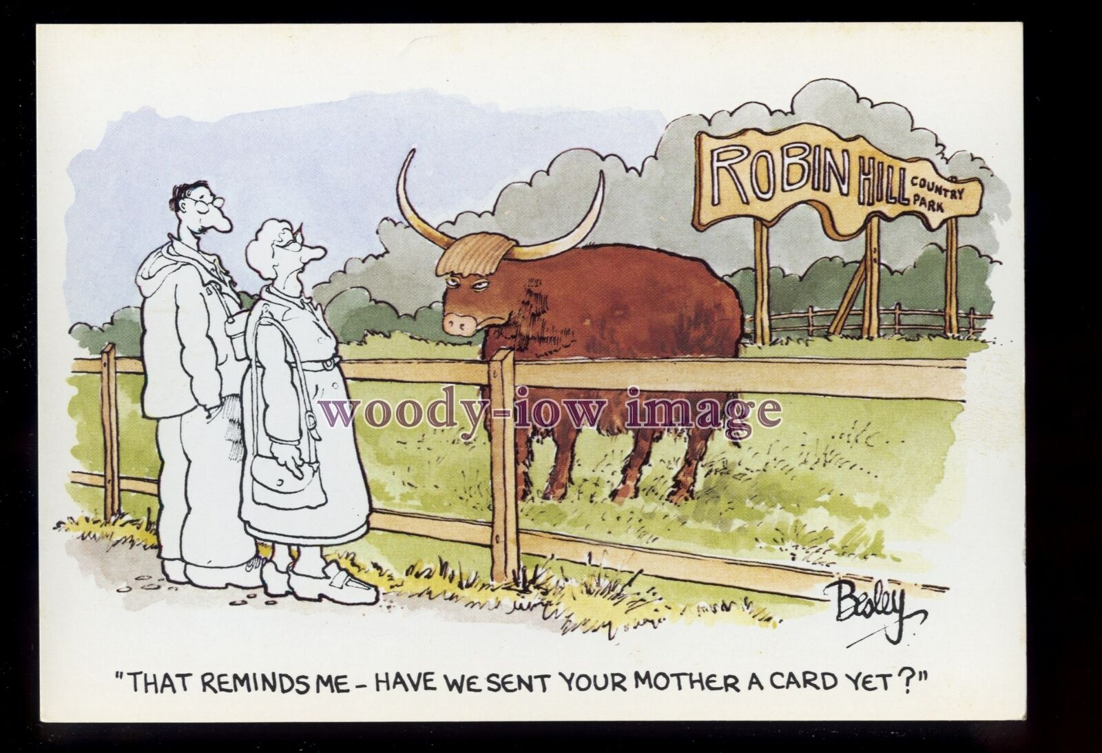 BES072 - Robin Hill - Have we sent Mother a card yet??? - Besley comic ...
